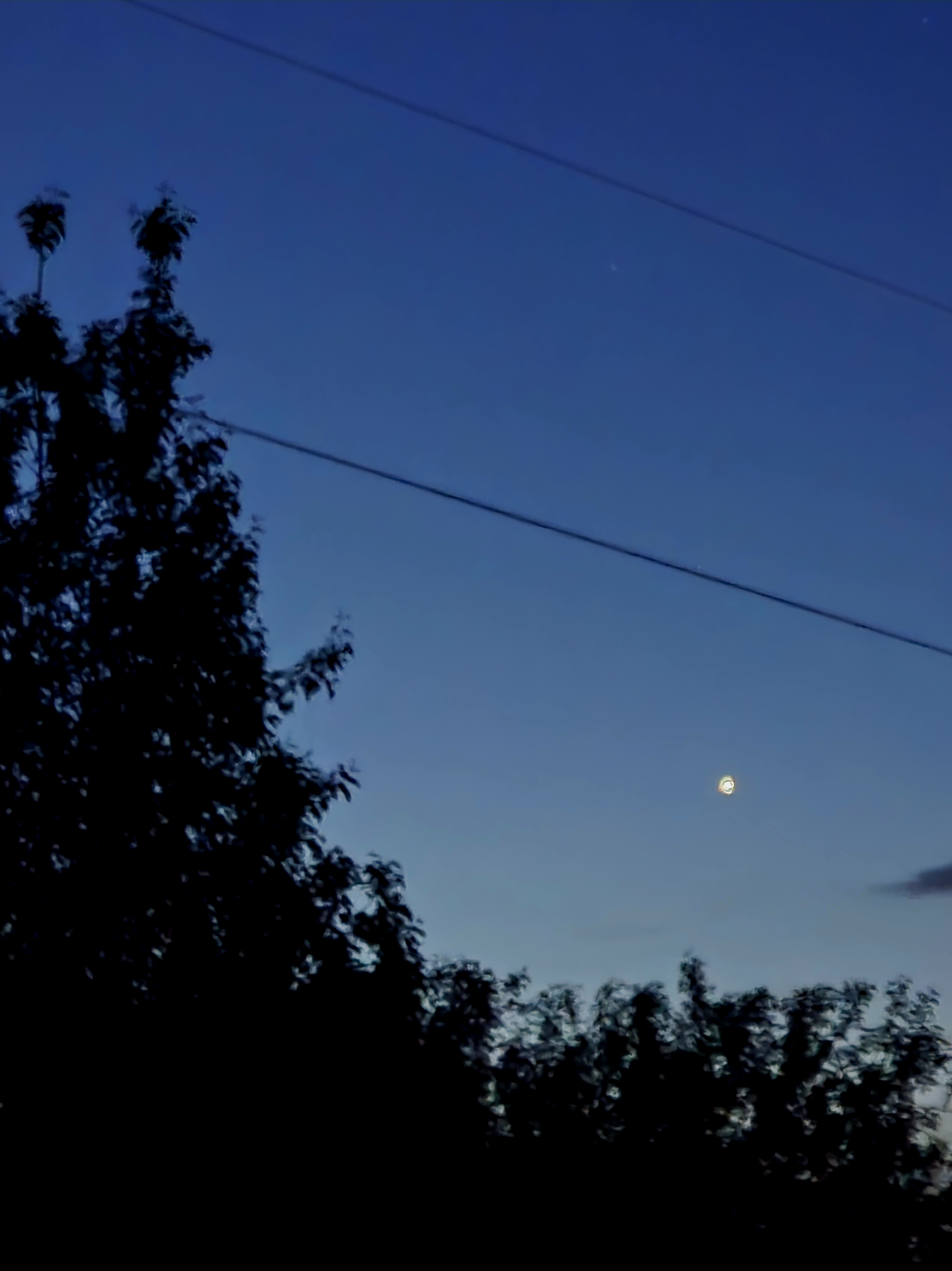 NUFORC UFO Sighting 189472