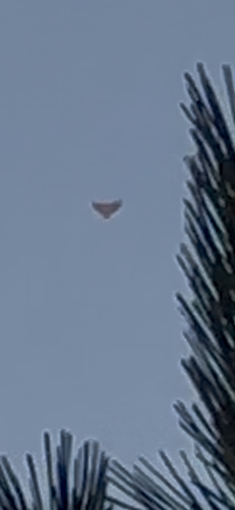 NUFORC UFO Sighting 190596